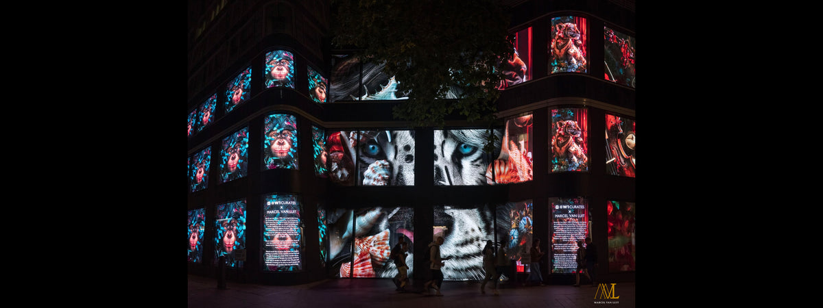 Marcel Van Luit - Innovative Digital Art and Craftsmanship